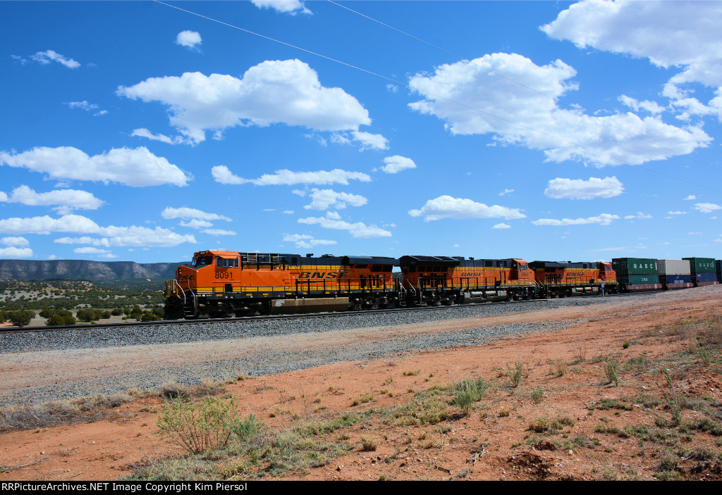 BNSF 8091
